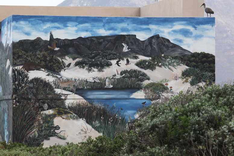 Cape Peninsula